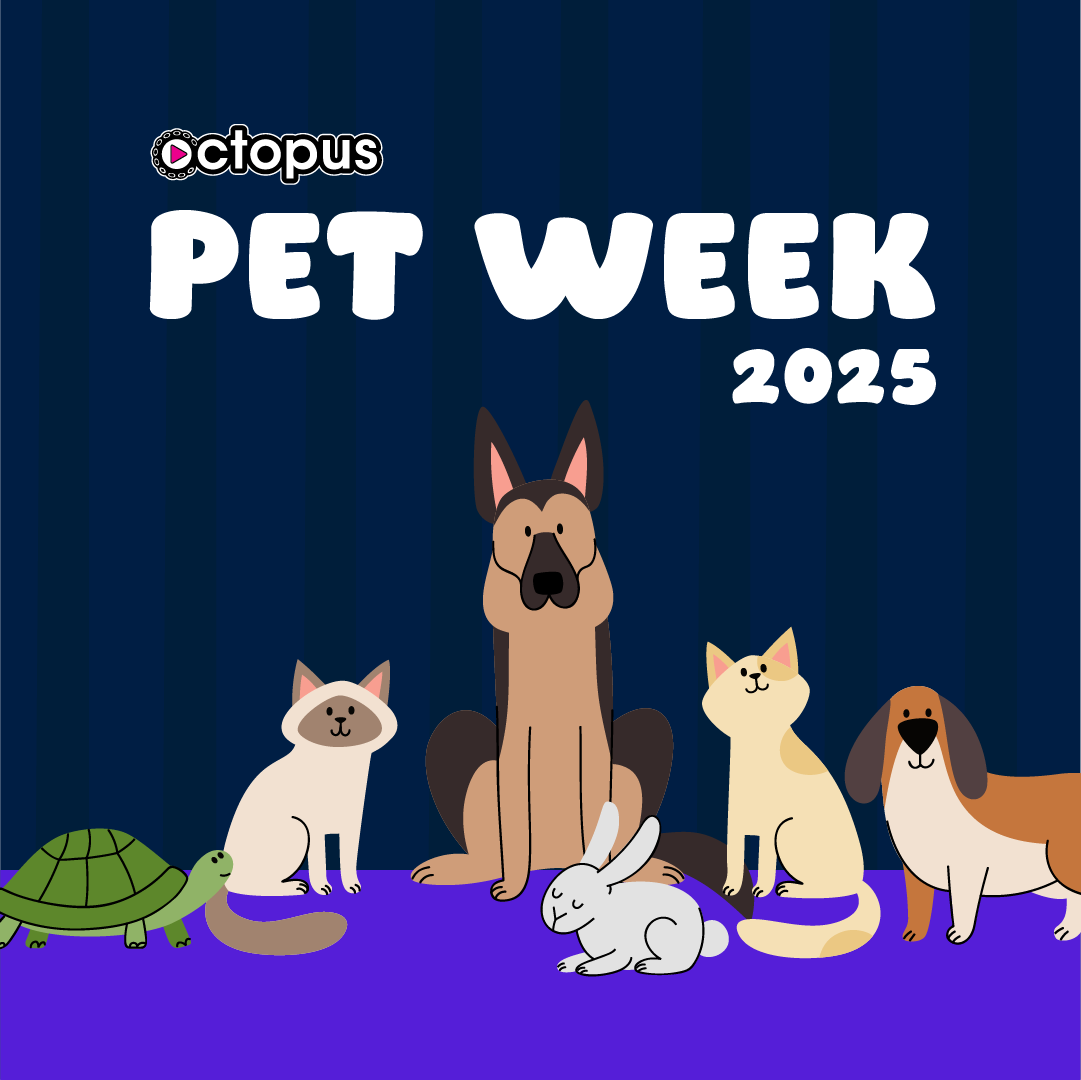 Pet Week 2025 | Play Octopus